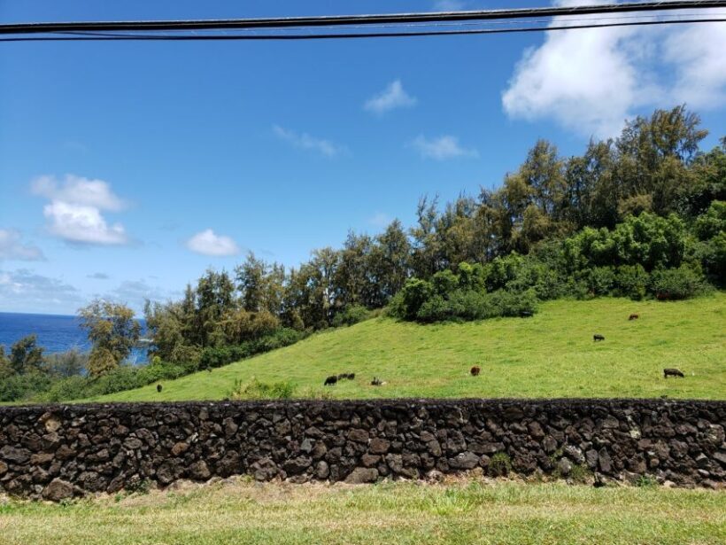 Maui : Private : Road to Hana Day Trip : Just For Your Group - FAQ