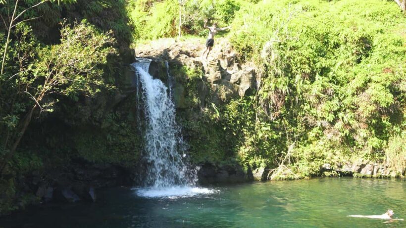 Maui: Private Road to Hana Rainforest and Waterfall Tour - Exploring the Private Road to Hana Experience