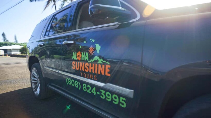 Maui: Private Road to Hana Rainforest and Waterfall Tour - Pricing and Value
