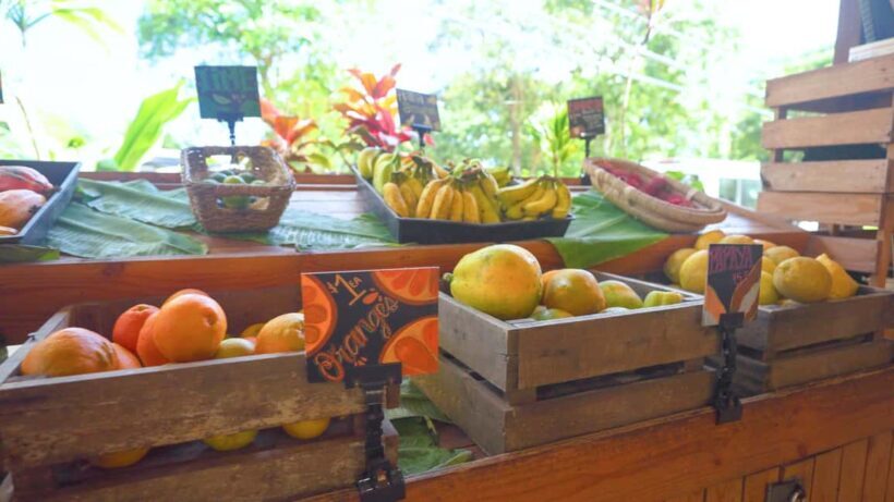 Maui: Private Road to Hana Rainforest and Waterfall Tour - Who Should Consider This Tour?