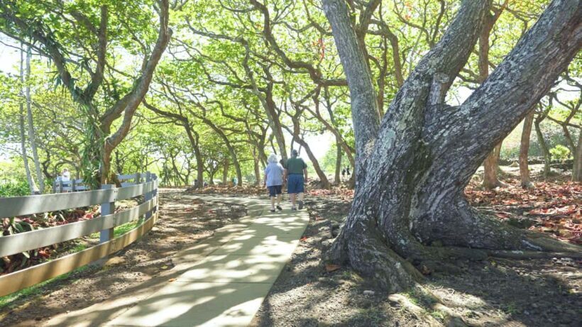 Maui: Private Road to Hana Rainforest and Waterfall Tour - Final Thoughts