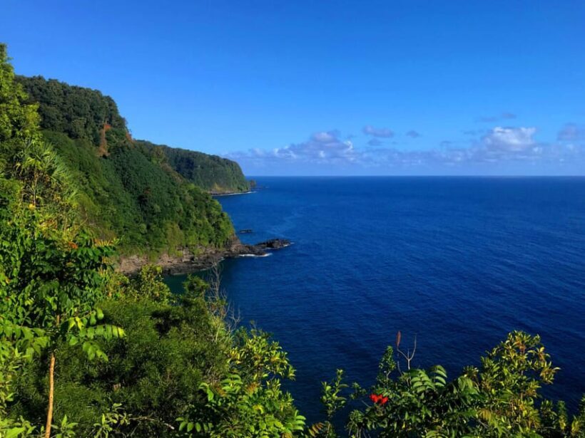 Maui: Private Road to Hana Tour with Meals - Price and Value