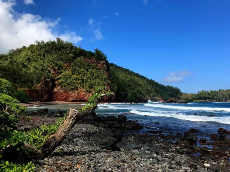 Maui: Private Road to Hana Tour with Meals - Who Should Book This Tour?