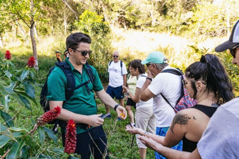 Maui: Rainforest Waterfalls Guided Hike with Picnic Lunch - Final Thoughts