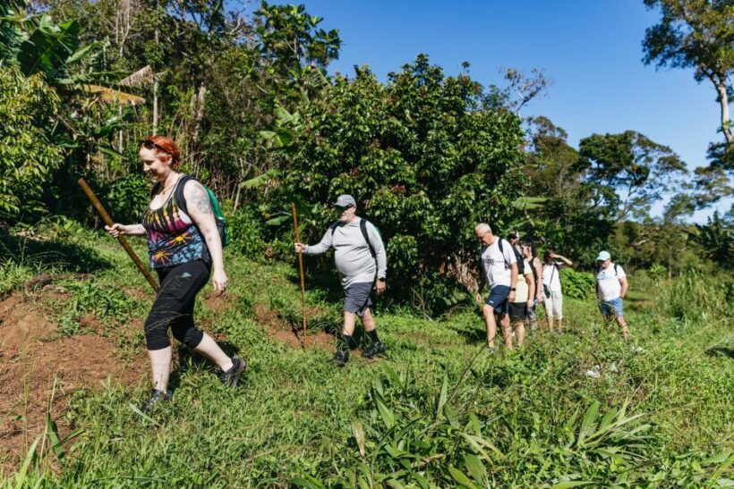 Maui: Rainforest Waterfalls Guided Hike with Picnic Lunch - FAQ