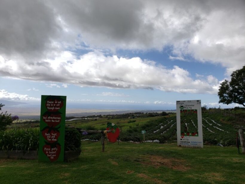 Maui: Road to Hana Adventure with Breakfast & Lunch - Who Is This Tour Best For?