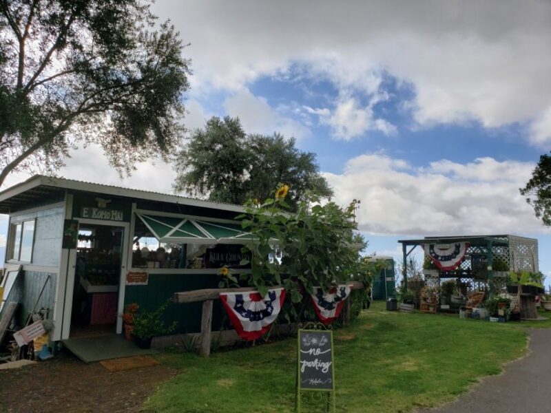 Maui: Road to Hana Adventure with Breakfast & Lunch - What Travelers Say