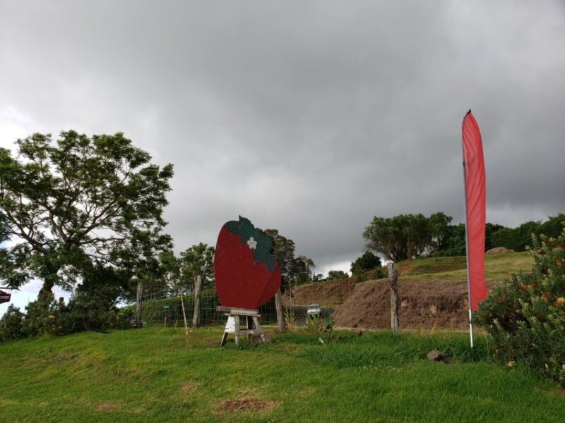 Maui: Road to Hana Adventure with Breakfast & Lunch - Who Should Book This Tour?