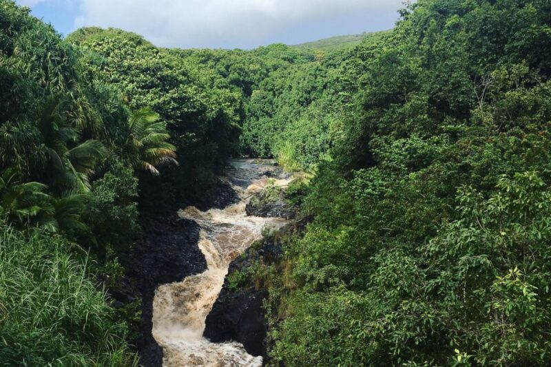 Maui: Road to Hana Sightseeing Tour - Frequently Asked Questions