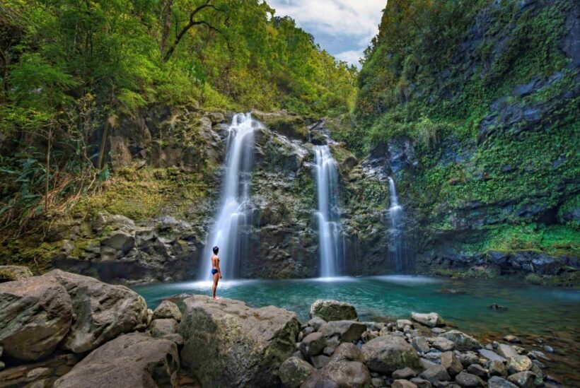 Maui: Road to Hana Waterfalls Tour with Lunch - Who Will Love This Tour?