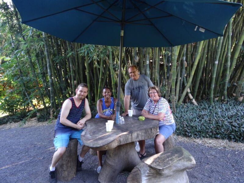 Maui: Road to Hana Waterfalls Tour with Lunch - What Makes This Tour Stand Out?