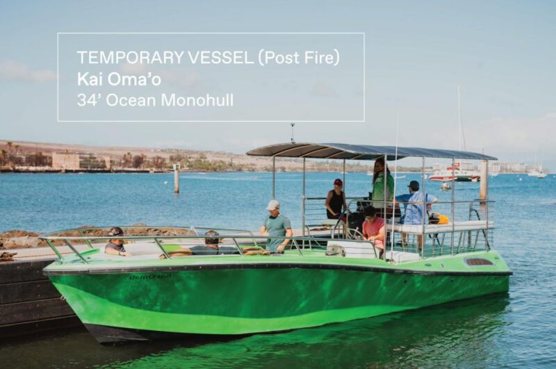 Maui: Semi-Private 3 Hour Eco-Raft Turtle Snorkel Tour - Key Points