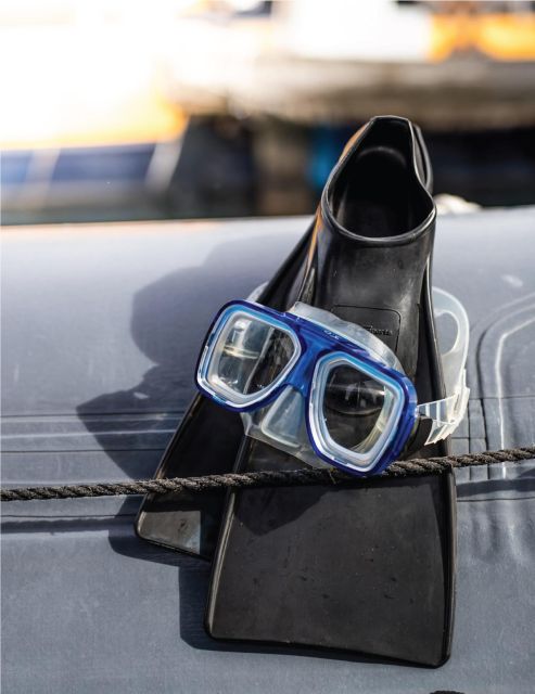 Maui: Semi-Private 3 Hour Eco-Raft Turtle Snorkel Tour - The Sum Up