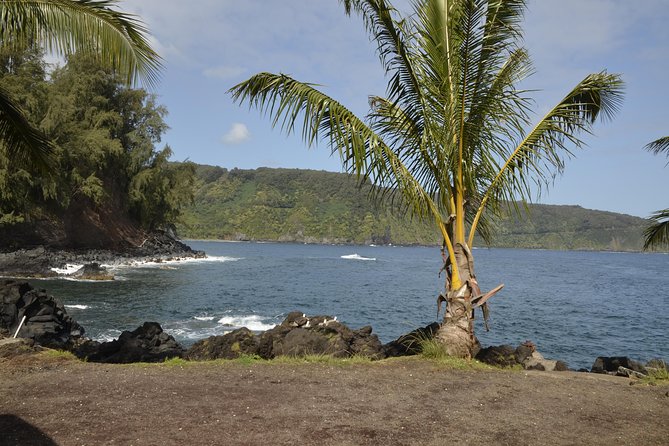 Maui Shore Excursion : Road to Hana Day Trip P/up Kaanapali - Customer Feedback and Recommendations