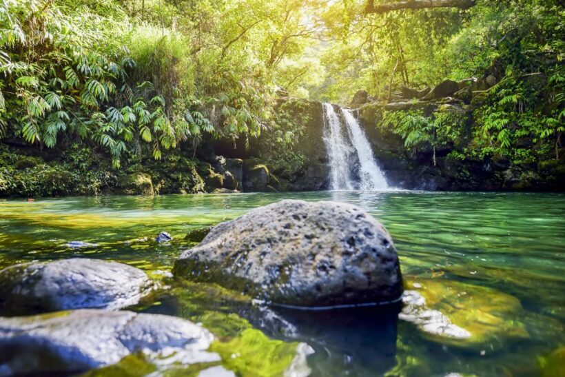 Maui: Small-Group Road to Hna Sightseeing Tour - FAQ