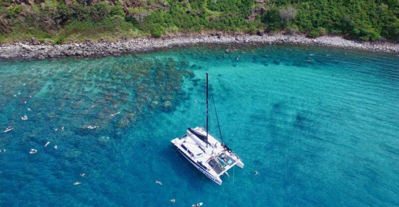 Maui: Snorkeling and Sailing Adventure with Buffet Lunch - Wildlife Encounters and Seasonal Highlights