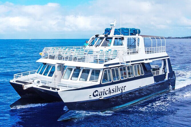 Maui Snorkeling Boat Tour to Turtle Town Aboard Quicksilver - Exploring the Itinerary and Experience in Detail