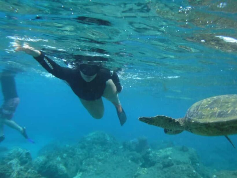 Maui: Snorkeling Tour with Gear and Instructor - Who Should Consider This Tour?