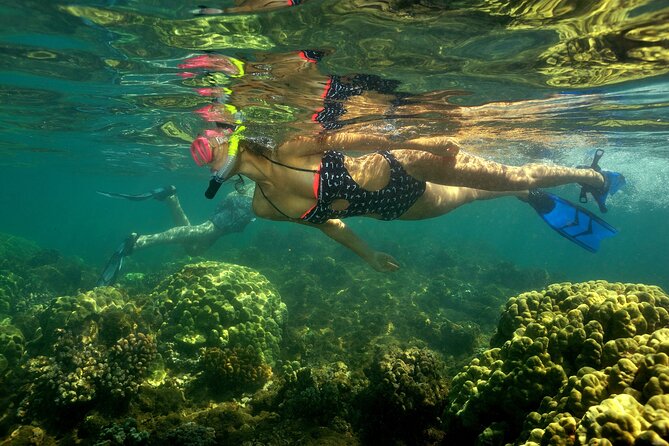 Maui South Shore Premier Kayak and Snorkel Tour From Makena Beach - Highlights of the Kayak and Snorkel Adventure