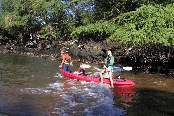 Maui South Shore Premier Kayak and Snorkel Tour From Makena Beach - Marine Life Encounters Along the Makena Coast