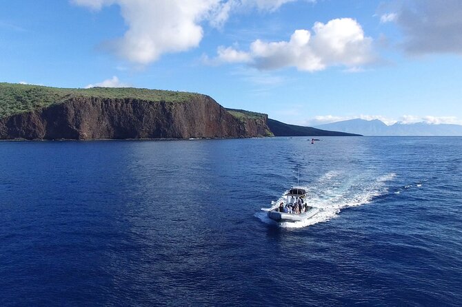 Maui to Lanai Semi-Private Eco Raft Snorkel & Dolphin Tour - Key Points