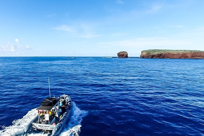 Maui to Lanai Semi-Private Eco Raft Snorkel & Dolphin Tour - What the Reviews Say