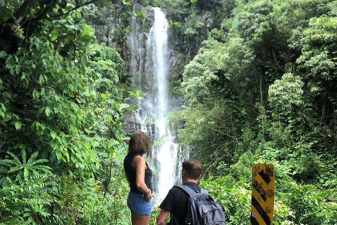 Maui Tour : Road to Hana Day Trip From Kahului Lunch, Water, Chip - Tour Experience and Feedback
