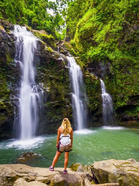 Maui Tropical Rainforest Eco Tour with Lunch - Discovering Maui’s Tropical Rainforest and Scenic Highlights