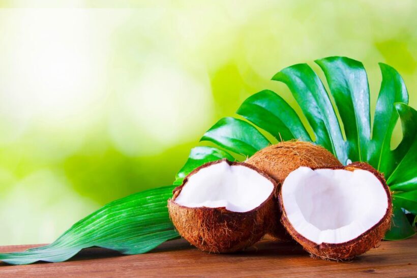 Maui Tropical Rainforest Eco Tour with Lunch - Summary: Who Will Love This Tour?