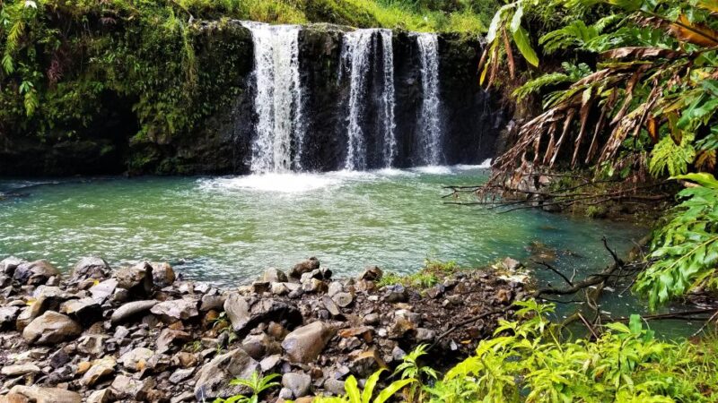 Maui Tropical Rainforest Eco Tour with Lunch - Analyzing the Value: Is It Worth the Price?