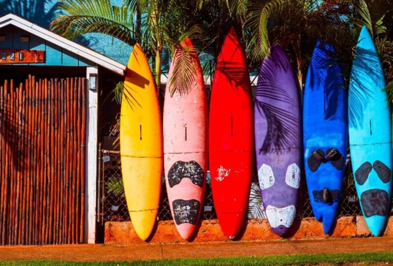 Maui Tropical Rainforest Eco Tour with Lunch - The Sum Up: Who Should Consider This Tour?