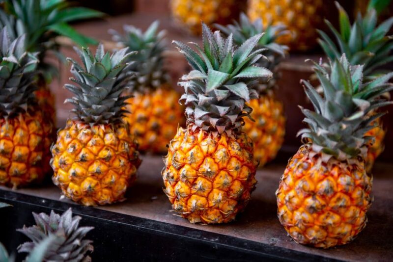 Maui Tropical Rainforest Eco Tour with Lunch - FAQs