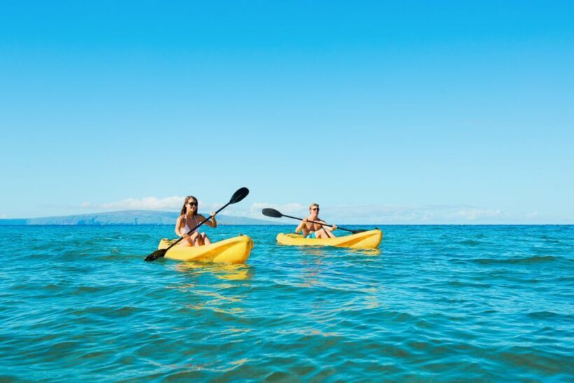 Maui: Turtle Town Kayak and Snorkel Tour - Final Words