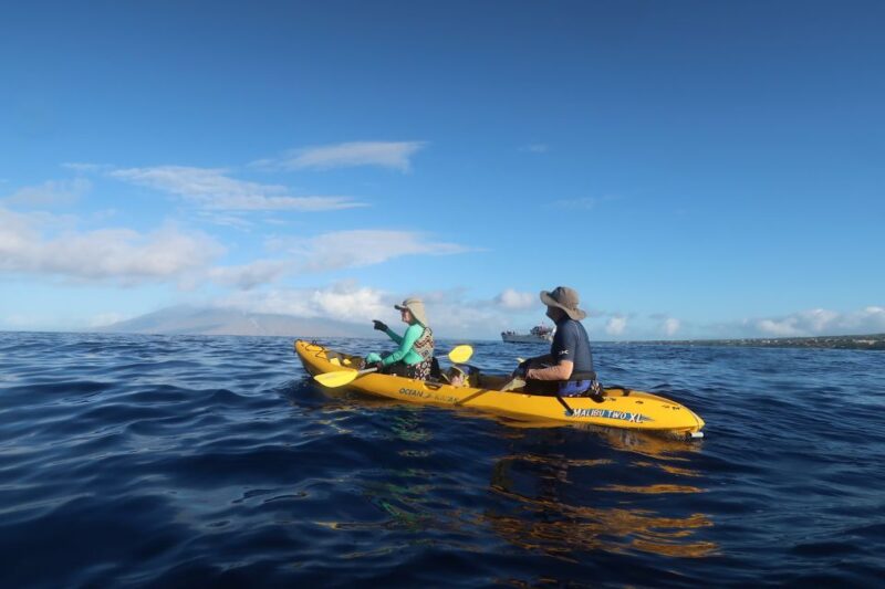 Maui: Turtle Town Kayak and Snorkel Tour - The Overview: What You’re Getting Into