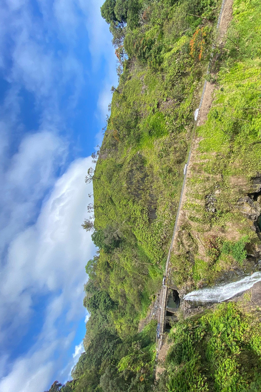 Maui: Van Day Trip to Hana with Local Guide and Lunch - Key Points