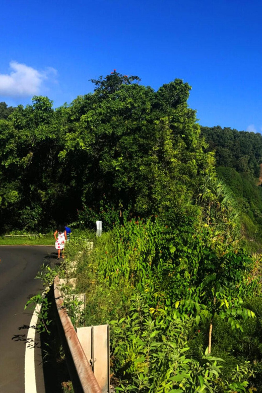 Maui: West Maui Tour with Breakfast and Lunch - Exploring the Full Itinerary: What You Can Expect