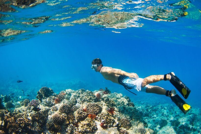 Maui: West Side Discovery Kayak & Snorkel from UKUMEHAME - Summary: Who Will Love This Tour?