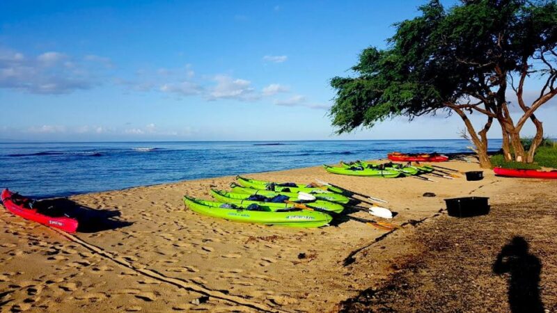 Maui: West Side Discovery Kayak & Snorkel from UKUMEHAME - A Closer Look at the West Side Discovery Kayak & Snorkel Tour