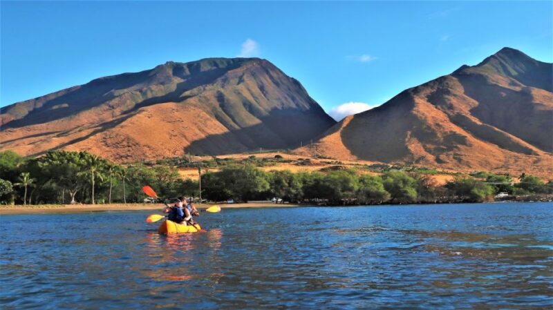 Maui: West Side Discovery Kayak & Snorkel from UKUMEHAME - The Experience: What You Can Expect
