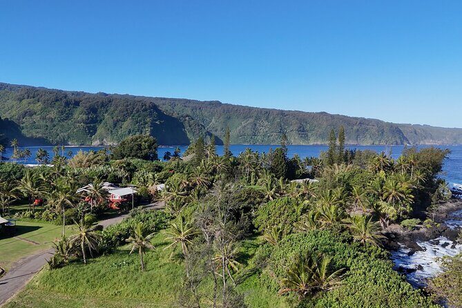 Mauis Sea Turtles, Waterfalls and Road to Hana Adventure - Who Will Love This Tour?