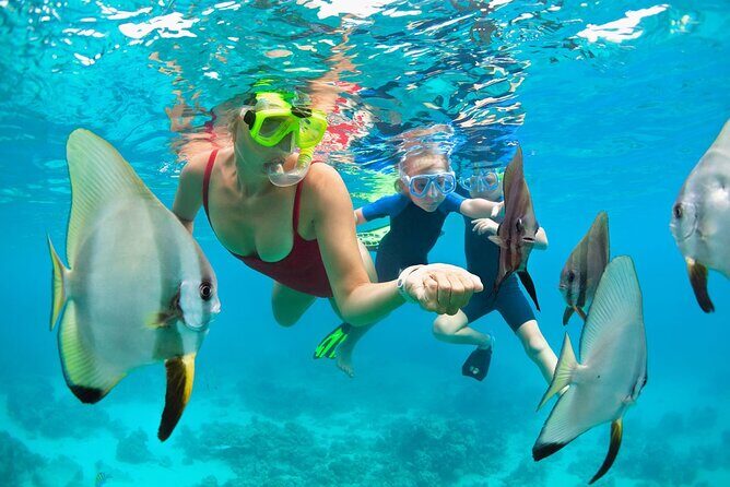 Mauna Kea 2hr One Stop Sealife Snorkel Adventure - Who Will Love This Tour?