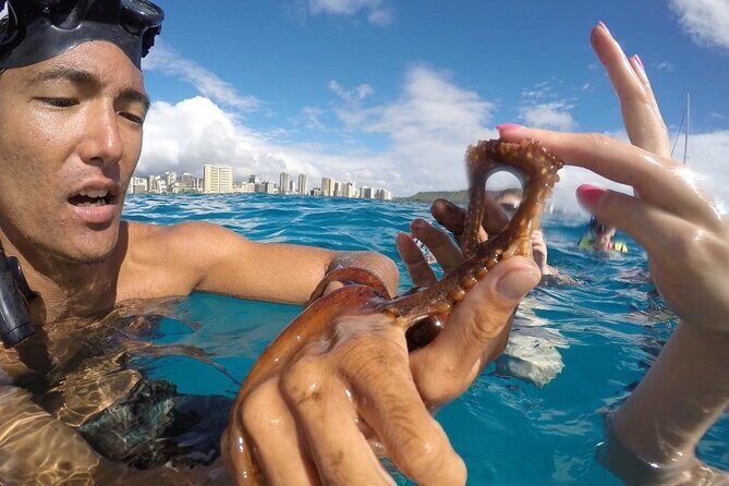 Mauna Kea 2hr One Stop Sealife Snorkel Adventure - The Sum Up: Who Should Consider It?