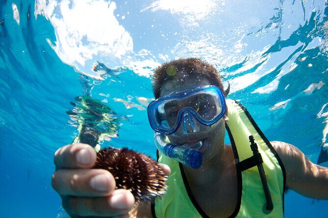 Mauna Kea 3hr Two Stop Sealife Snorkel Adventure - Key Points