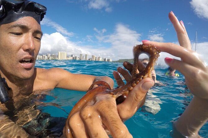 Mauna Kea 3hr Two Stop Sealife Snorkel Adventure - Exploring the Experience in Detail