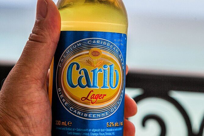 Maurice Bishop Airport Fast Track & Private Transfer Roundtrip - How does the Fast Track VIP Service work?