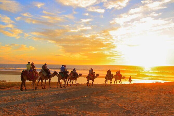 Maverick and RZR in the Beach and Desserts from Los Cabos - The Itinerary: What to Expect