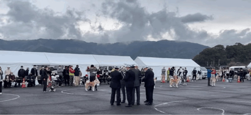 May 2025: AKITA DOG DAY! Meet AKITA DOGs in AKITA - Frequently Asked Questions