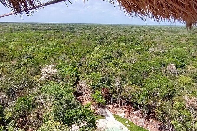 Maya Adrenaline: ATV, Ziplines & Cenote From Playa del Carmen. - An Introduction to the Maya Adrenaline Tour