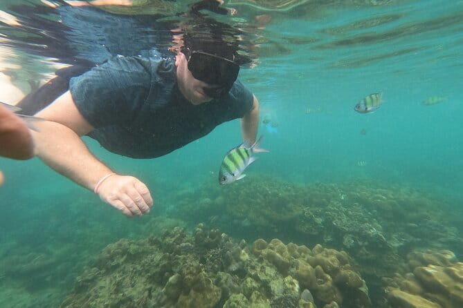 Maya Bay Phi Phi Island Snorkeling Day Tour with lunch - Phuket - Ko Phi Phi Lee: The Jewel of the Archipelago
