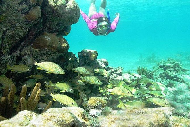 Mayan Adventure from Cancun - An In-Depth Look at the Itinerary and Experience